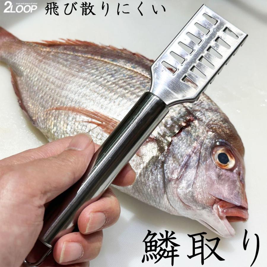 すっきり うろこ取り ステンレス 飛び散りにくい構造 魚 料理 捌く 際に 鱗 ウロコ 除去 : 2LOOP - 通販 - Yahoo!ショッピング