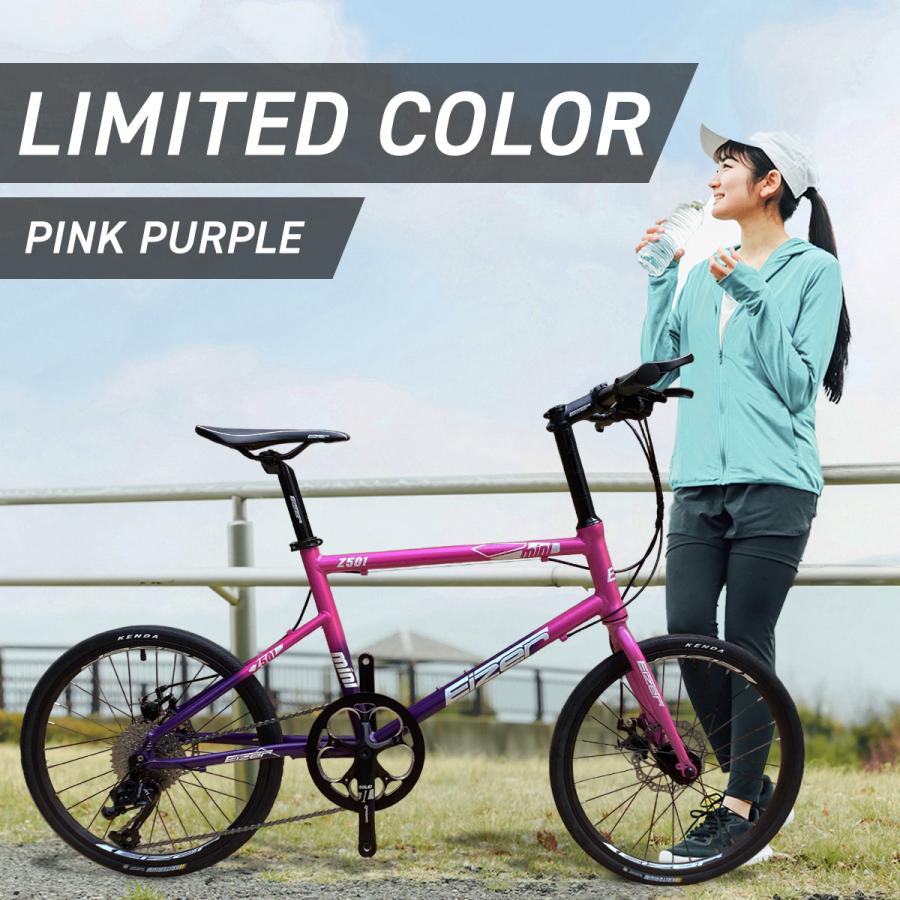 ミニベロ 軽量 20インチ 自転車 小径車 10段変速 コンパクト Wディスクブレーキ バーエンドバー付 EIZER アイゼル Z501 : yj-eiz-z501-22 : EIZER ...
