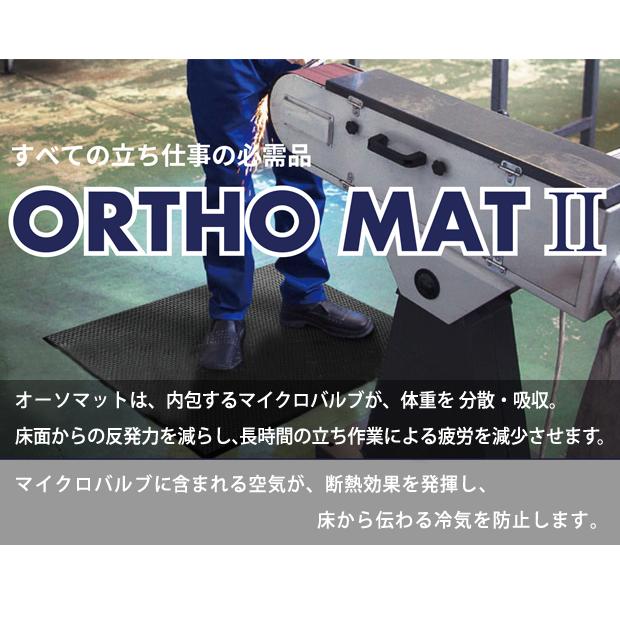 クリーンテックス ジャパン Ortho Mat II オーソマット2 疲労軽減マット AD00035 サイズ約30×50cm : 柴商 ...
