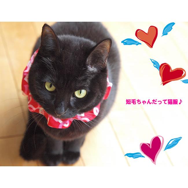 ゴロにゃんオリジナル デイリー猫服 ハートハートピンクハート Lサイズ :1445216:56nyan 猫用品ゴロにゃんヤフー店 - 通販 ...