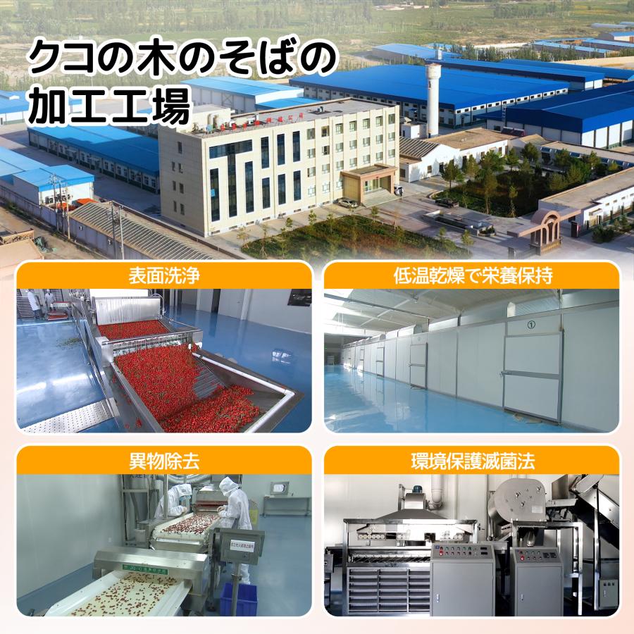 クコの実 クコ ゴジベリー 無添加 無農薬 有機JAS認定 オーガニック 大粒 スーパーフード 初摘み 103g*1袋 MOTTセレクト : MOTTセレクト - 通販 - Yahoo!ショッピング