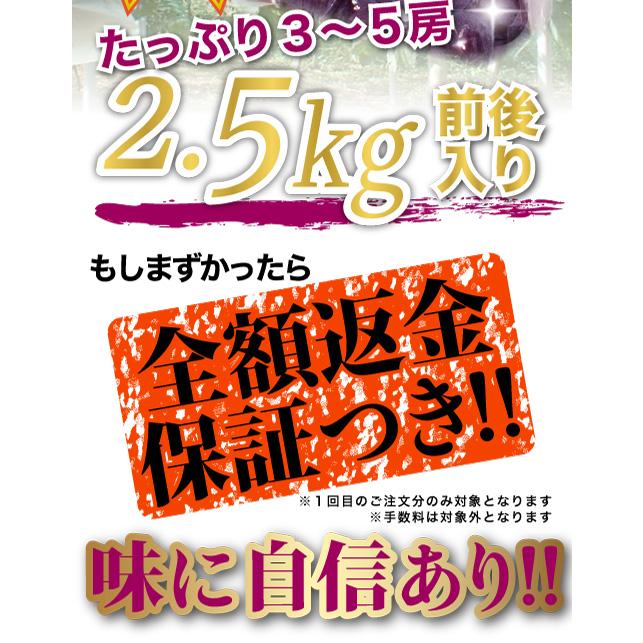 10月分予約 岡山産 ピオーネ シャインマスカット 瀬戸ジャイアンツ ぶどう 3種詰合わせ 1.8kg 3~5房 化粧箱入 ブドウ 葡萄 産地直送 : はちまるはち - 通販 - Yahoo ...