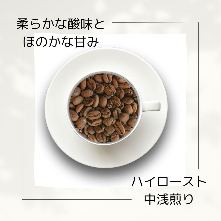 【800g】10東ティモール コーヒー 豆 『エルメラ』ウォッシュド : 8620.cafe. - 通販 - Yahoo!ショッピング