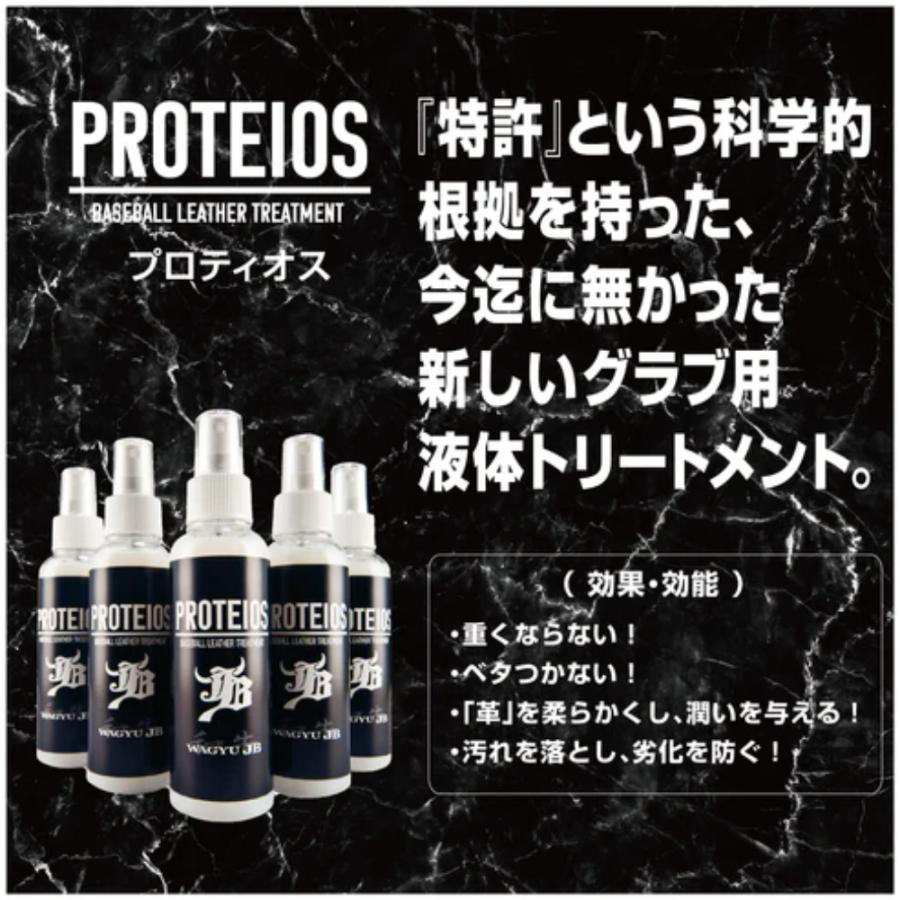 PROTEIOS（プロティオス） グラブトリートメント 150ml スプレーボトル JB-PR ケア用品 メンテナンス 劣化防止 保革 ボールパーク : 89キングダム - 通販 ...