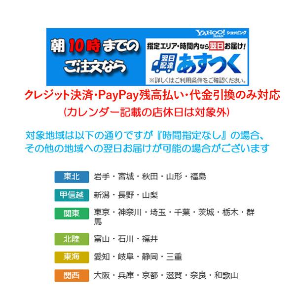 カジュアルシューズ レディース 黒 幅広4E 本革 日本製 Pochi/ポチ 006 ブラック 軽量 履きやすい Tストラップ ローヒール ナチュラル : くつ屋エムオーシー - 通販 ...