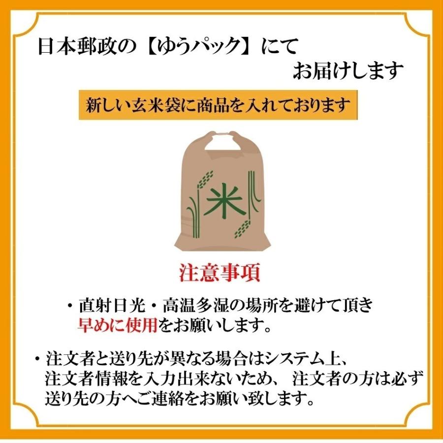 米粉 20kg 1袋 グルテンフリー 岡山県産米使用 国内産 食品 調理用 お