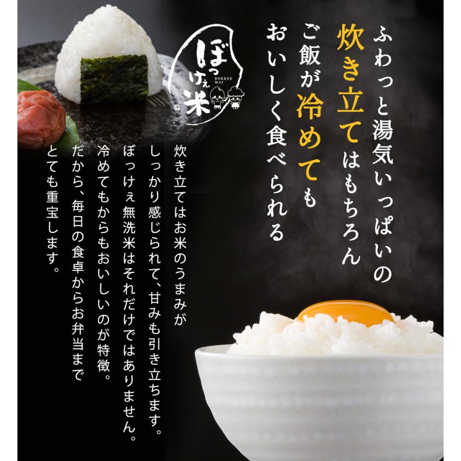 令和6年産入り ぼっけぇ 無洗米 1350g 【450g(3合)×3袋】 ポイント消化 白米 食品 お試しセット メール便 オリジナルブレンド米 国内産 送料無料 : 岡山のお米と雑穀のお店 ...