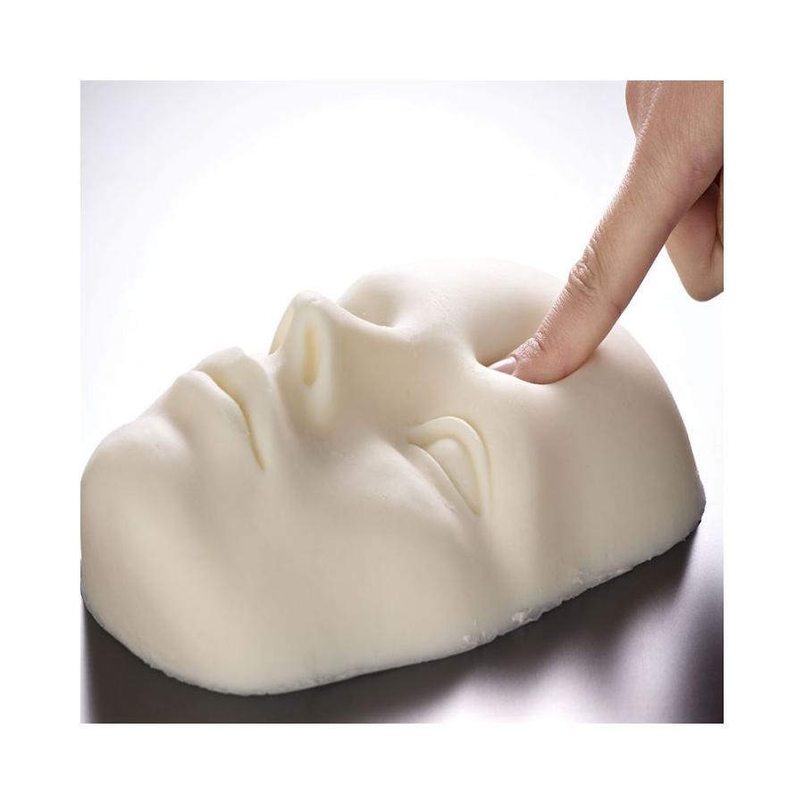 人肌TMのゲル原液 乳白 アスカーC15 1200g エクシール HM01-34009 (3-1987-13) : 3-1987-13 : A1 ショップ 休業日土日・祝日 - 通販 ...