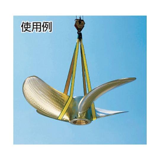 シグマ A-1 35mm×3.0m 両端アイ形 明大 35X3.0 (61-2997-11) : A1ショップ 土日・祝日・夏季・年末年始休業 - 通販 - Yahoo!ショッピング