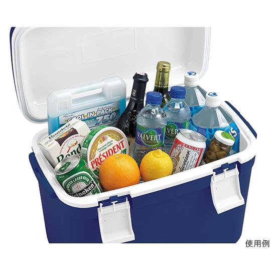 JEJアステージ クーラーボックス フォレスクルー ダークブルー #25 (63-0989-31) : A1ショップ 土日・祝日・夏季・年末年始休業 - 通販 - Yahoo!ショッピング