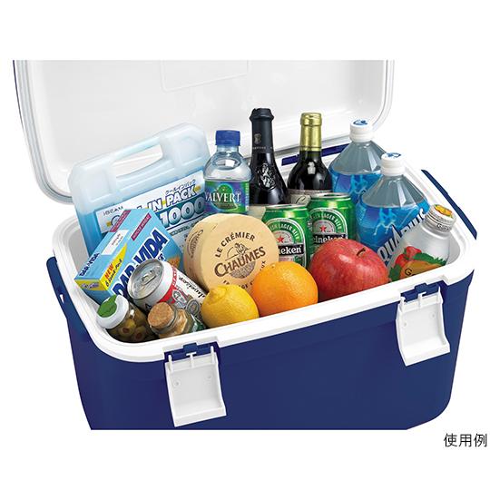 JEJアステージ クーラーボックス フォレスクルー ダークブルー #35 (63-0989-32) : A1 ショップ 休業日土日・祝日 - 通販 - Yahoo!ショッピング