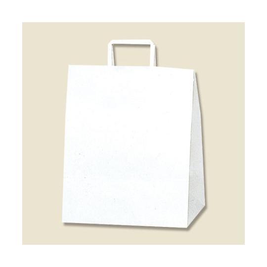 手提げ紙袋 H25チャームバッグ 晒白無地 50枚 HEIKO 3278101 (63-1338-87) : 63-1338-87 : A1 ショップ 休業日土日・祝日 - 通販 ...