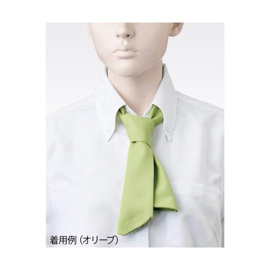 スカーフ ブルー フリー 1組 2枚入 KAZEN APK498-21 フリー (63-4051-54) : 63-4051-54 : A1 ショップ 休業日土日・祝日 - 通販 ...