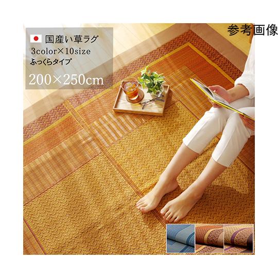 ラグ 国産 い草 ござ カーペット 『DXランクス』 ワイン 約191×250cm 裏：不織布 1050800283904 (64-8011-46) : A1ショップ 土日・祝日・夏季・年末 ...