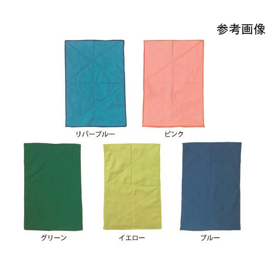 東レ 東レタオル式厚手ワイパー リバーブルー 200mm×310mm D2031-ME2ZK-G172-10P (64-8477-98) : 64-8477-98 : A1 ショップ 休業日土 ...