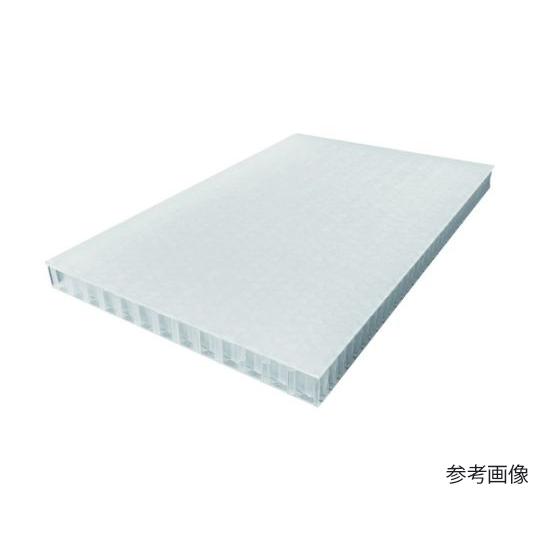 テクセル20mm樹脂板 633800 TECCELL樹脂製中空ボードナチュラル900X900 T20-900X900 :64-8711-19 ...