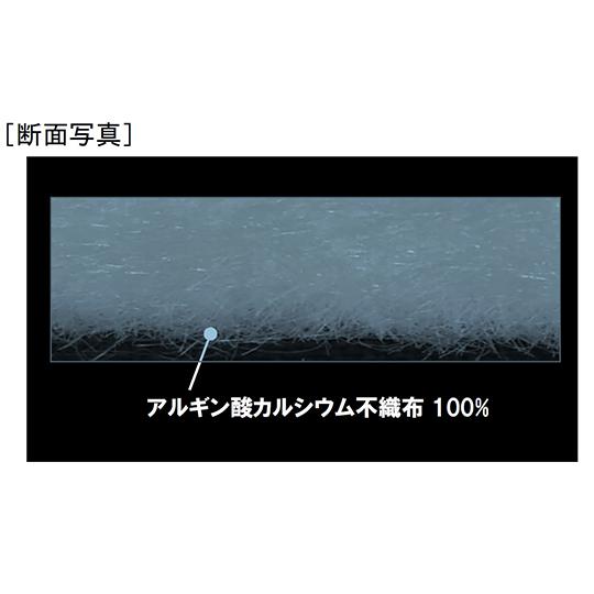 瑞光メディカル プラスモイストHS-W 80×120mm 10枚入 HSWAJA 医療機器認証取得済 (65-4352-22) : A1ショップ 土日・祝日・夏季・年末年始休業 - 通販 ...