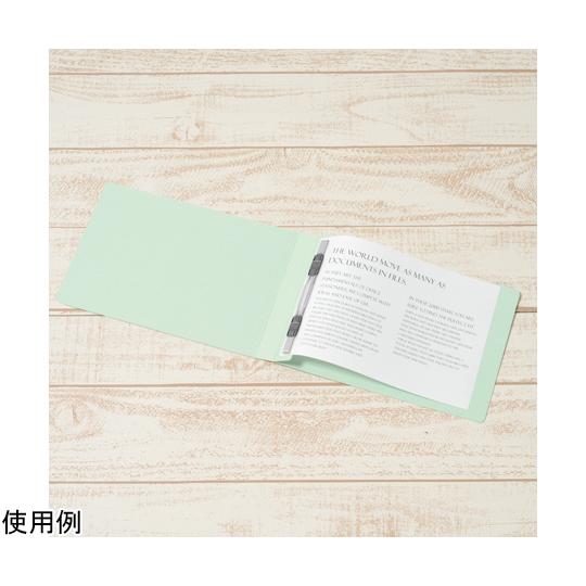フラットファイル 厚とじ300 A5-E ブルー プラス No.042NW BL (65-5521-18) : A1 ショップ 休業日土日・祝日 - 通販 - Yahoo!ショッピング