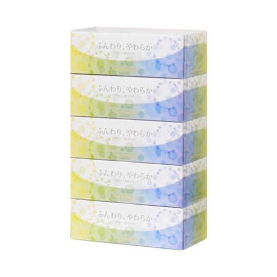 イデシギョー デュープレミアムティッシュ 160W×5P 1個 5パック入 (67-2187-89) : A1ショップ 土日・祝日・夏季・年末年始休業 - 通販 - Yahoo!ショッピング