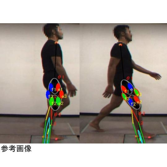 実効筋力評価システム FEMS 医療機関様向け 計算力学研究センター (67-3071-67) : 67-3071-67 : A1 ショップ 休業日土日・祝日 - 通販 - Yahoo!ショッピング