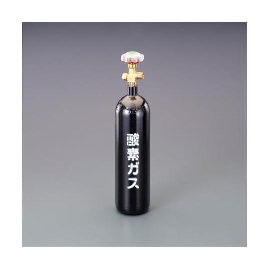 2L 酸素用空ボンベ EA300-41A (67-5286-73) : A1ショップ 土日・祝日・夏季・年末年始休業 - 通販 - Yahoo!ショッピング