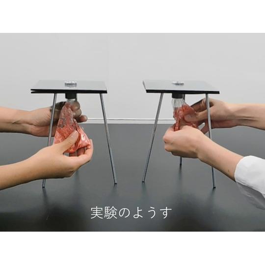 火山噴火モデル実験器 KR-V K50-1191 (67-6594-71) : A1ショップ 土日・祝日・夏季・年末年始休業 - 通販 - Yahoo!ショッピング