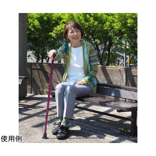 バンブーステッキ ワイド ワインレッド 竹虎 104985 (67-8768-92) : 67-8768-92 : A1 ショップ 休業日土日・祝日 - 通販 - Yahoo!ショッピング