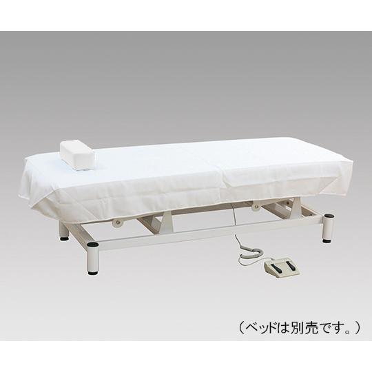 アズワン ローポジション電動診察台用 枕 ホワイト ・シーツセット SET-W (8-2657-11) : A1ショップ 土日・祝日・夏季・年末年始休業 - 通販 - Yahoo!ショッピング