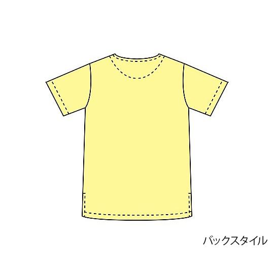 ウェア スクラブ 右肩ドットボタン留め／両脇スリット ヴィンテージワイン／SS ディーフェイズ DS-2001 (8-4463-01) : A1 ショップ 休業日土日・祝日 - 通販 ...