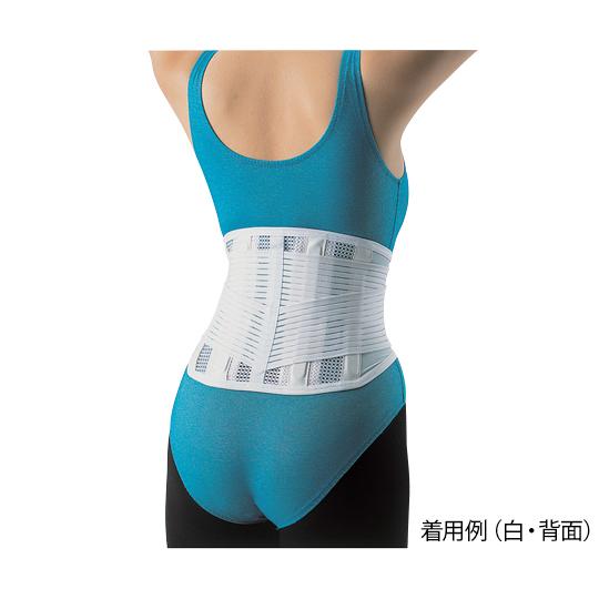 アズワン 楽らく腰ガード[ソルボ] レギュラー L 白 63328 (8-7137-03) : A1ショップ 土日・祝日・夏季・年末年始休業 - 通販 - Yahoo!ショッピング