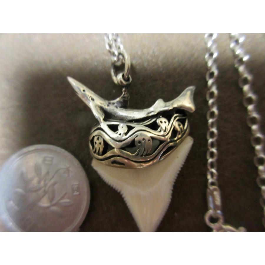 Silver925 Tooth Shark サメの歯 ペンダント （ Silver925 チェーン 50cm ) 7.7g n-709 : n-709 : ABC-925 - 通販 ...