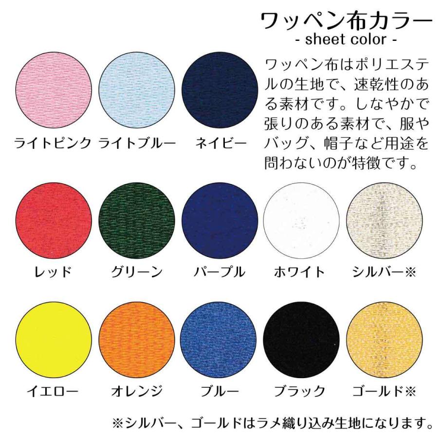 お名前 ワッペン 3個セット 刺しゅうワッペン アイロン熱着 刺繍 刺繍サービス 刺しゅう ワンちゃん いぬ イヌ にくきゅう 野球 バレーボール バスケットボール : ピアニッシモ株式会社 ...