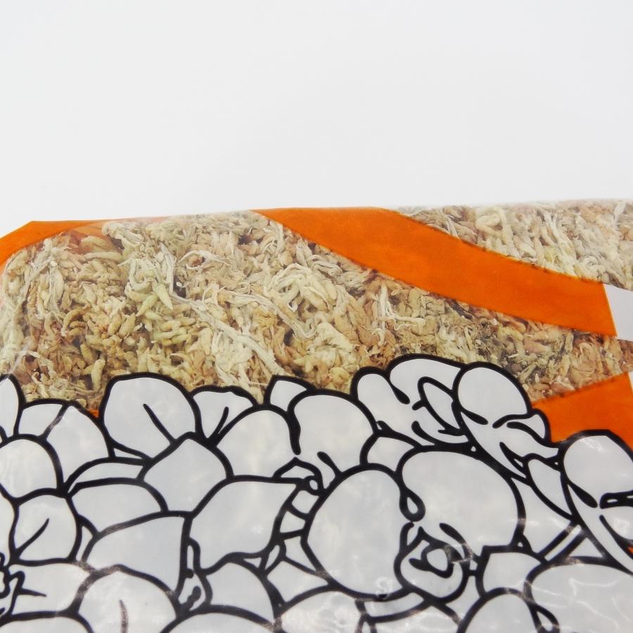 水苔 ニュージーランド産 1Kg 圧縮水苔（80L） AA 洋ラン 観葉植物 挿し木 両生類 爬虫類 : Abest - 通販 - Yahoo!ショッピング