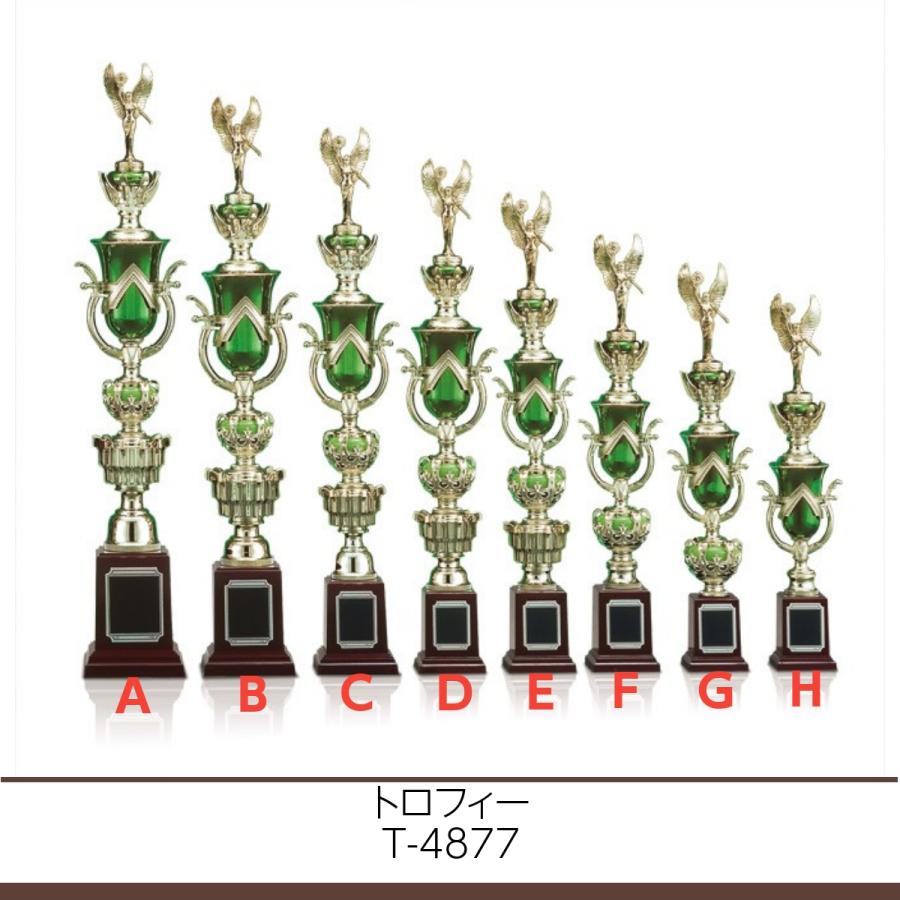 トロフィー 3,080円〜5,720円 T-4877 名入れ代別途 : Timez A ヤフー店 - 通販 - Yahoo!ショッピング