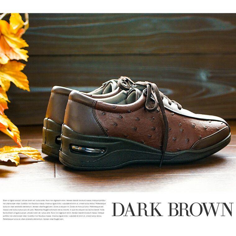 コンフォートシューズ レディース 3e 幅広 軽量 エアーソール