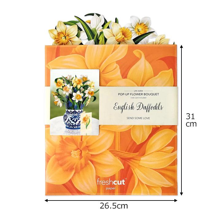 【アウトレット】フレッシュ カット ペーパー ( フィールドオブデイジー ) カード メッセージカード 花束 ブーケ お花 枯れない 簡単 組立 : Foothill Gardens - 通販 ...