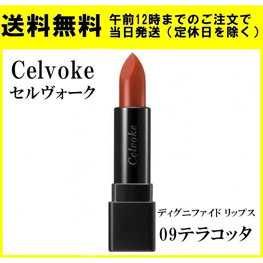 セルヴォーク Celvoke ディグニファイド リップス 10g 09 テラコッタ : 4589784670181 : ACE SELECT - 通販 - Yahoo!ショッピング