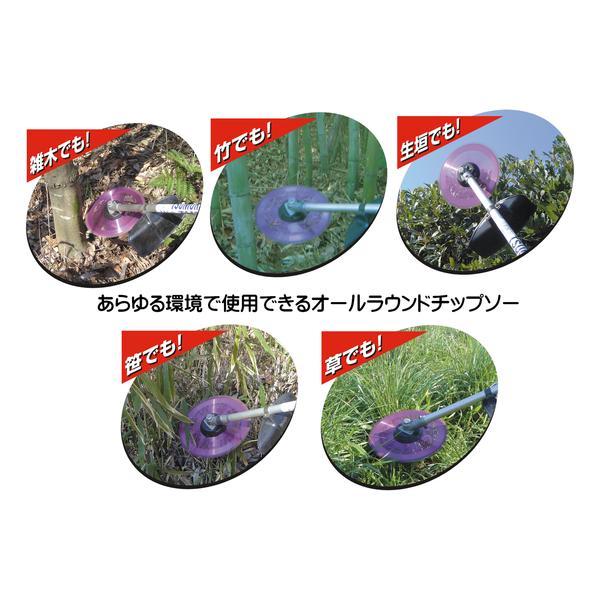 ツムラ(工具) 津村鋼業 ツムラ L-52 オールラウンド 255x52P 刈払機用チップソー TSUMURA : 現場屋本舗ヤマニシデポ - 通販 - Yahoo!ショッピング