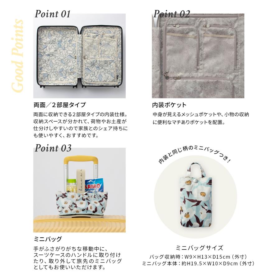 HaNT スーツケース ハント KOKONT ココント キャスターストッパー 75L 双輪キャスター TSダイヤルファスナーロック ドリンクバッグ 4輪 05515 : ACE Online ...