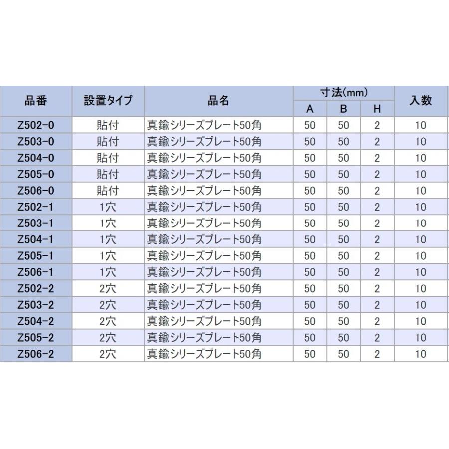 コノエ 真鍮製プレート50mm角 Z506-2（2穴タイプ）50角 2mm厚 （10枚入）アンカーピン付 家屋調査 境界 測量 土木 水道 道路 標示 :konoe-z506-2:現場用品専門 ...