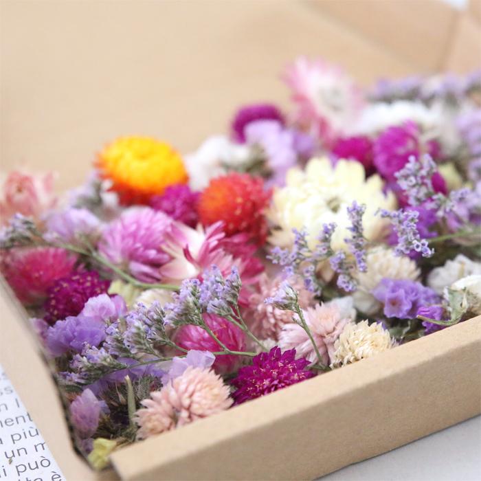 ドライフラワー 花材 詰め合わせ セット (千日紅・HBスターチス ドライフラワー 花材 詰め合わせ セット (千日紅・HBスターチス