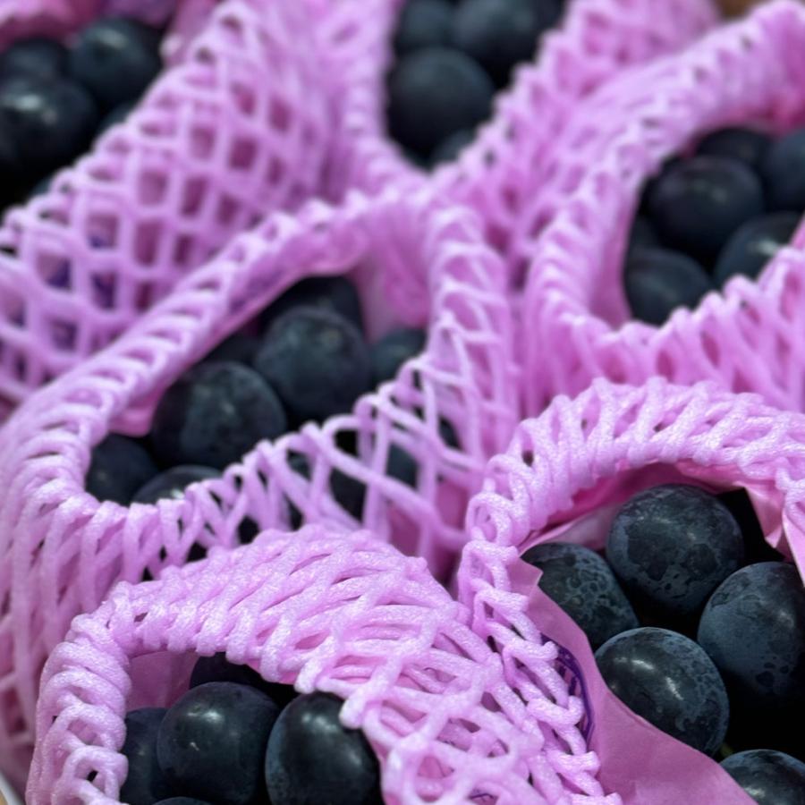 冷凍ブドウ ナガノパープル 500g×16パック 計8kg POPLAB 冷凍 ぶどう 葡萄 果物 フルーツ 長野県産 国産 お取り寄せ グルメ スイーツ デザート まとめ買い 大量 ...