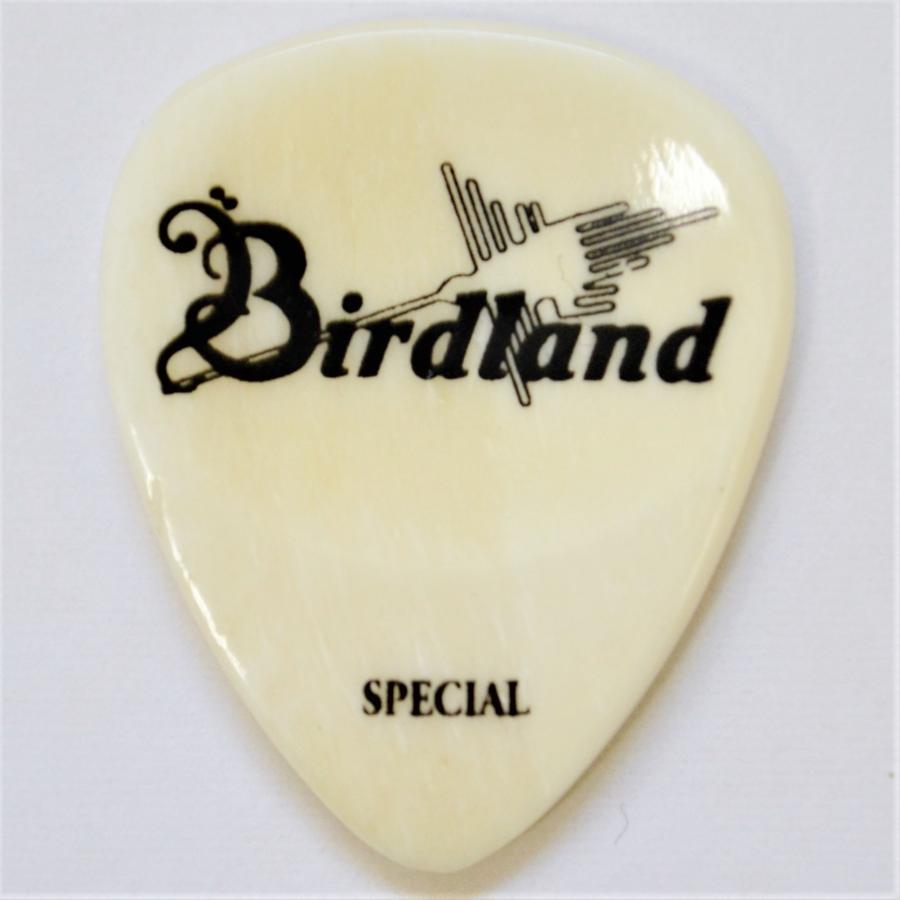 Birdland オリジナル ピック Buffalo Special Pick Bone : アコースティックアイランド - 通販 ...