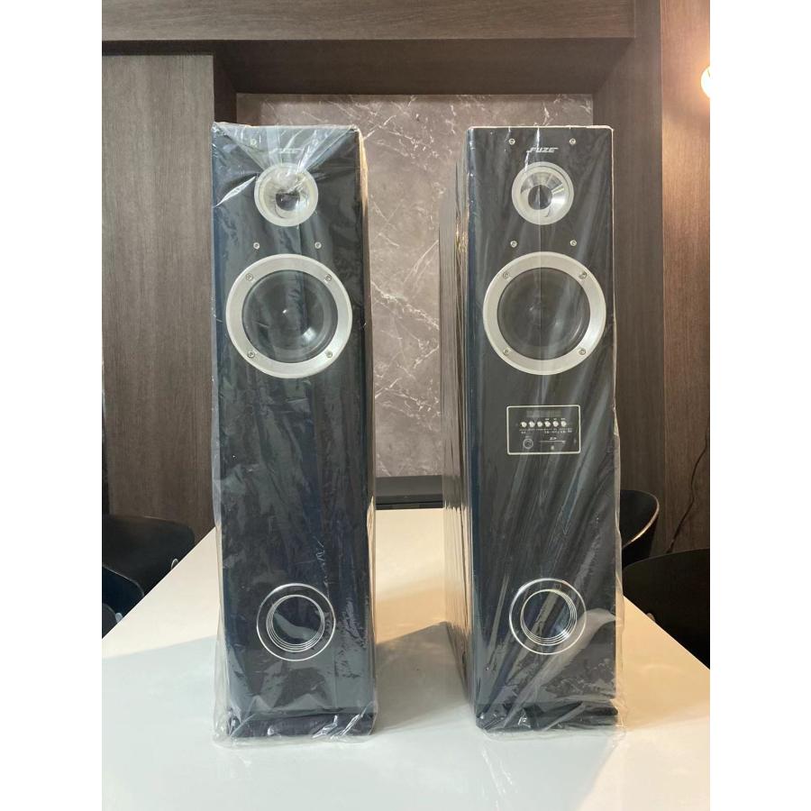 B品【数量限定価格】FUZE フューズ TSX2200 アンプ内蔵デュアル B品【数量限定価格】FUZE フューズ TSX2200 アンプ内蔵デュアル