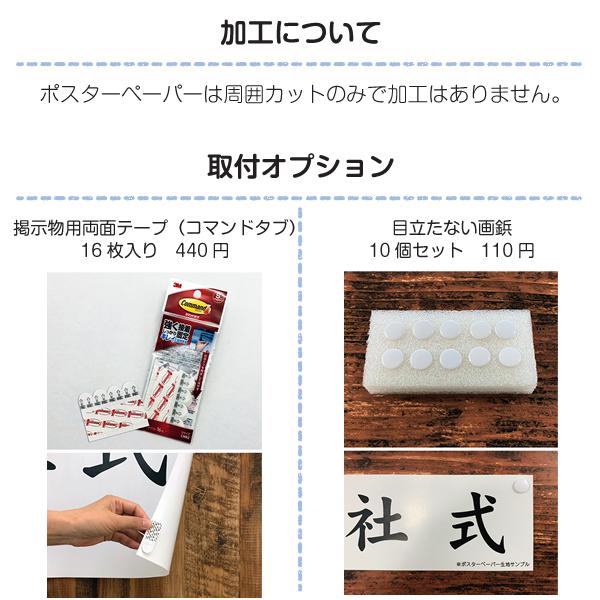 入社式 横断幕 紙素材 軽い ポスターペーパー リーズナブル Lサイズ 3000mm : nyusha-l : ベリーYahoo!店 - 通販 - Yahoo!ショッピング