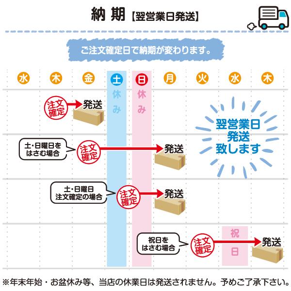 入社式 横断幕 紙素材 軽い ポスターペーパー リーズナブル Lサイズ 3000mm : nyusha-l : ベリーYahoo!店 - 通販 - Yahoo!ショッピング