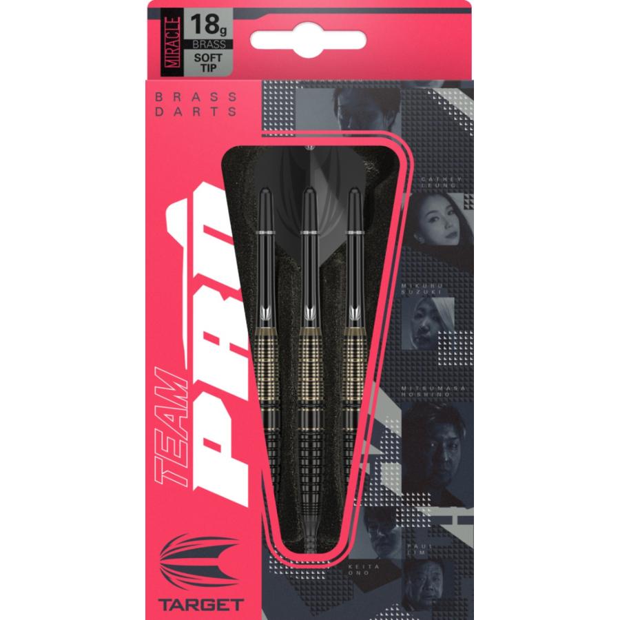 【TARGET】TEAM PRO MIKURU チームプロ 鈴木未来モデル 2BA ブラスダーツ ターゲット : ドラポケ堂 - 通販 - Yahoo!ショッピング