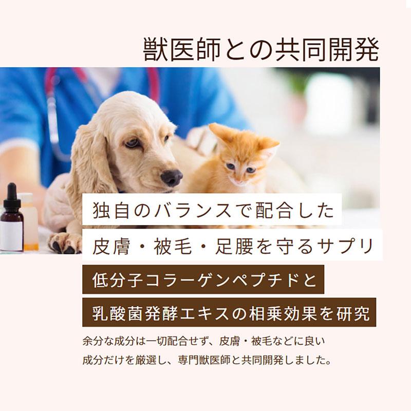 PREMEAL スキンコート 83g :4589406280170:ドックサポートアエコム - 通販 - Yahoo!ショッピング