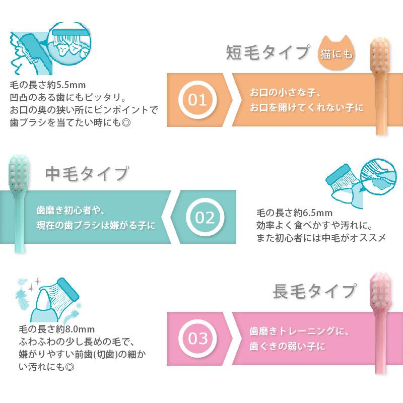 OraBio オーラバイオブラシ 4本 セット : ドッグサポートアエコム - 通販 - Yahoo!ショッピング