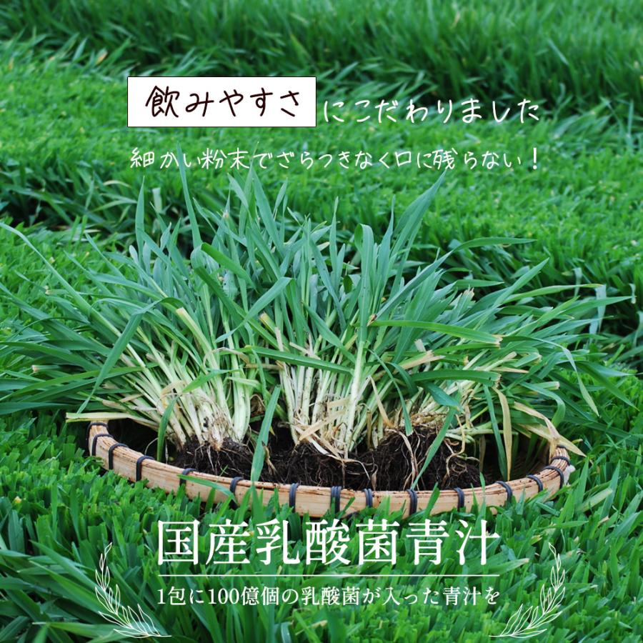 KOSEI 国産 青汁 乳酸菌青汁 378g(3g×126包) 4ヵ月分 鹿児島県産 飲みやすい 健康 ダイエット 乳酸菌 食物繊維 大麦若葉 野菜 送料無料 ギフト Y : aemotion ...